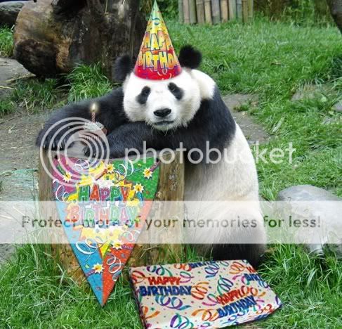 Happy Birthday to Skippy!