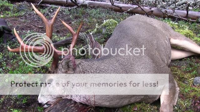 Where is Proguide66?