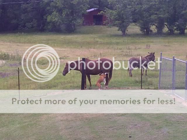 This may be the 'MUTHA OF ALL 'CAPTION THIS' photos..........let er rip!