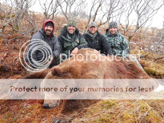 Kodiak hunt in progress....... - Page 5